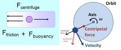 Centrifugation Theory